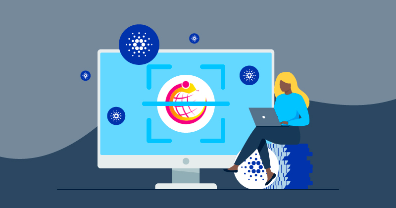 How to use CardanoScan (2026) | CoinLedger